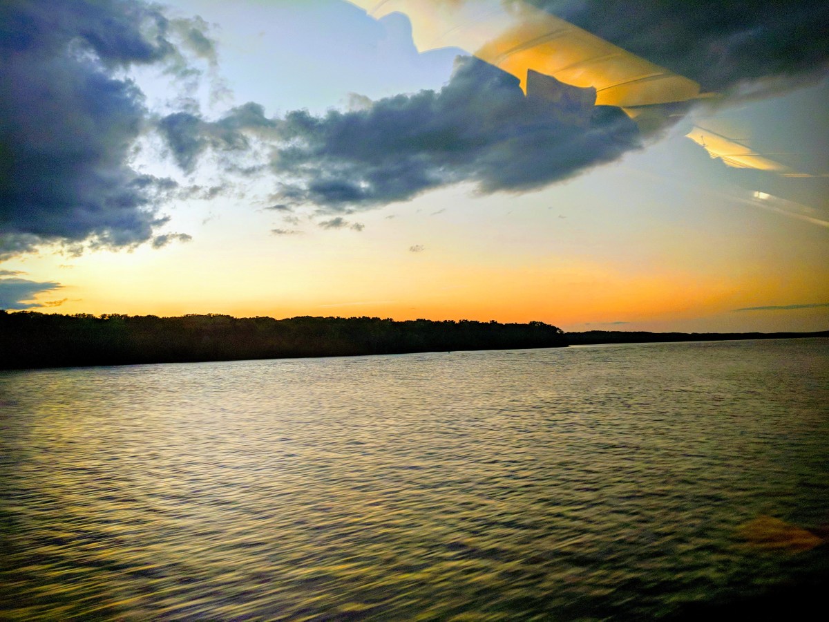 Tímea Laura Molnár – Assistant Professor in Economics